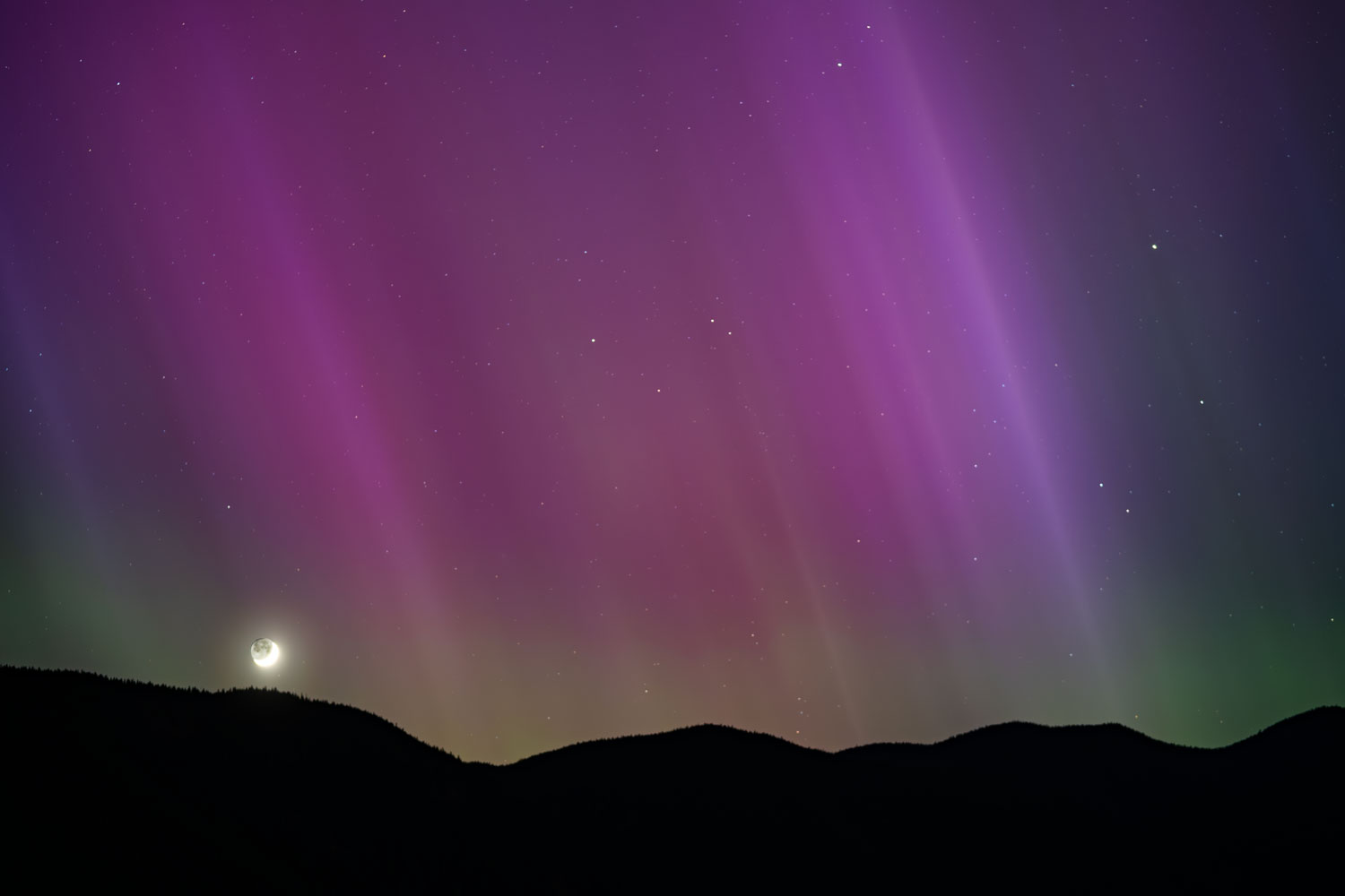 My OC Student Activities - Home